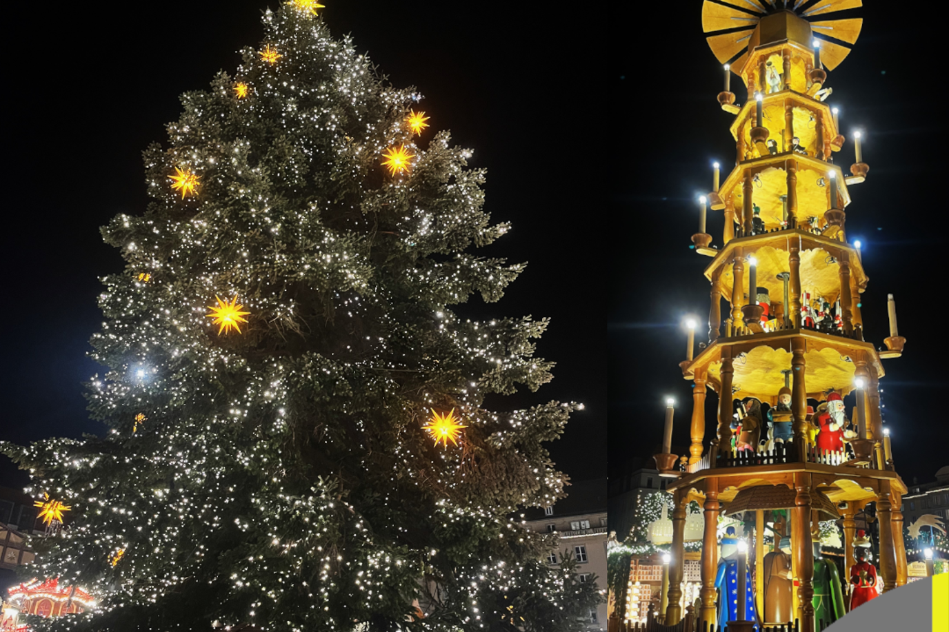 Frohe Weihnachten | BFV