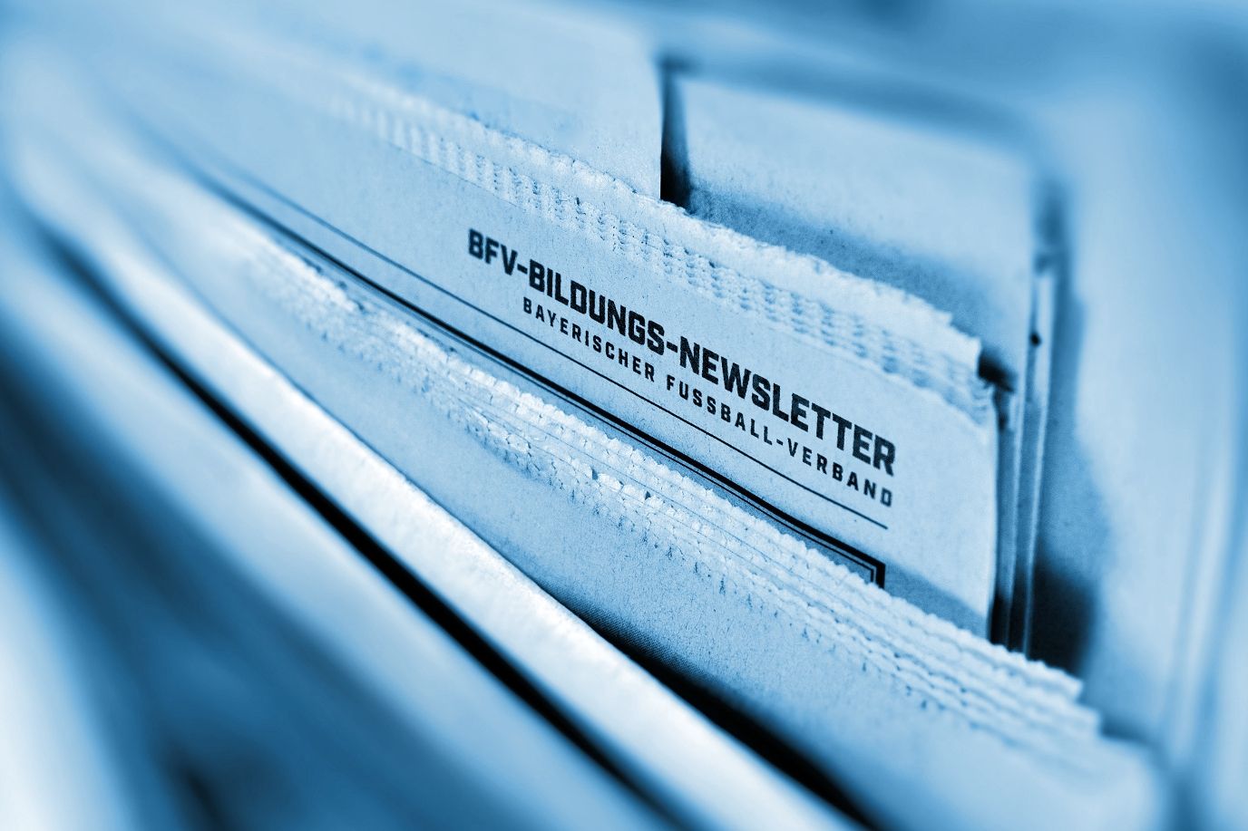 Neu: Der BFV-Bildungs-Newsletter | BFV